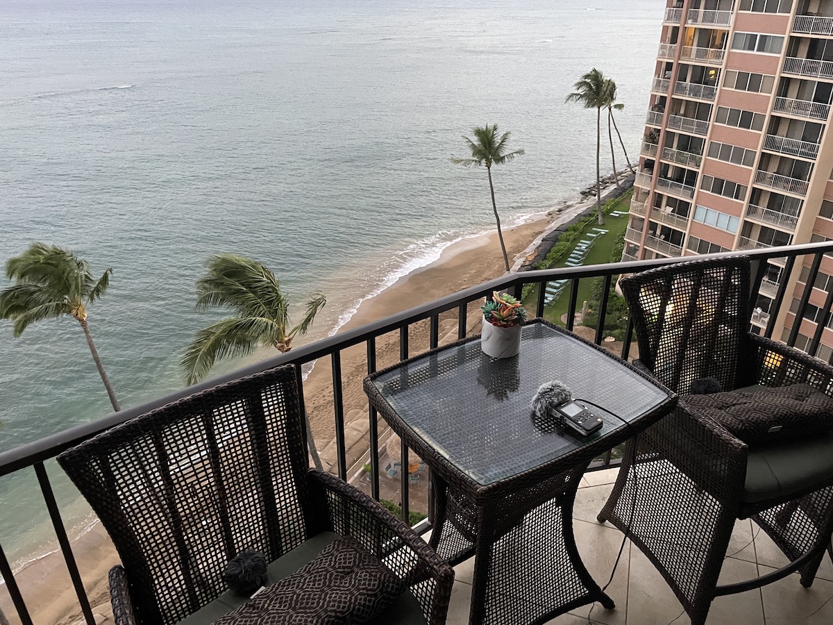 Mini Maui – AUDIO SHADE